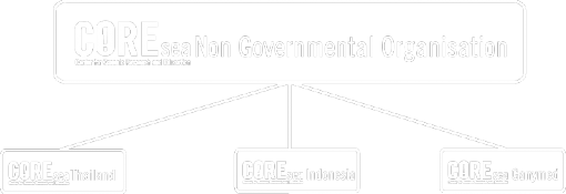 CS-structure | COREsea