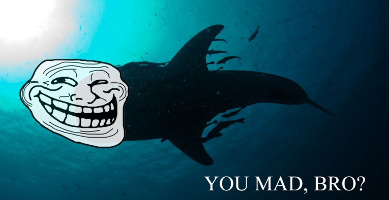 troll_shark | COREsea